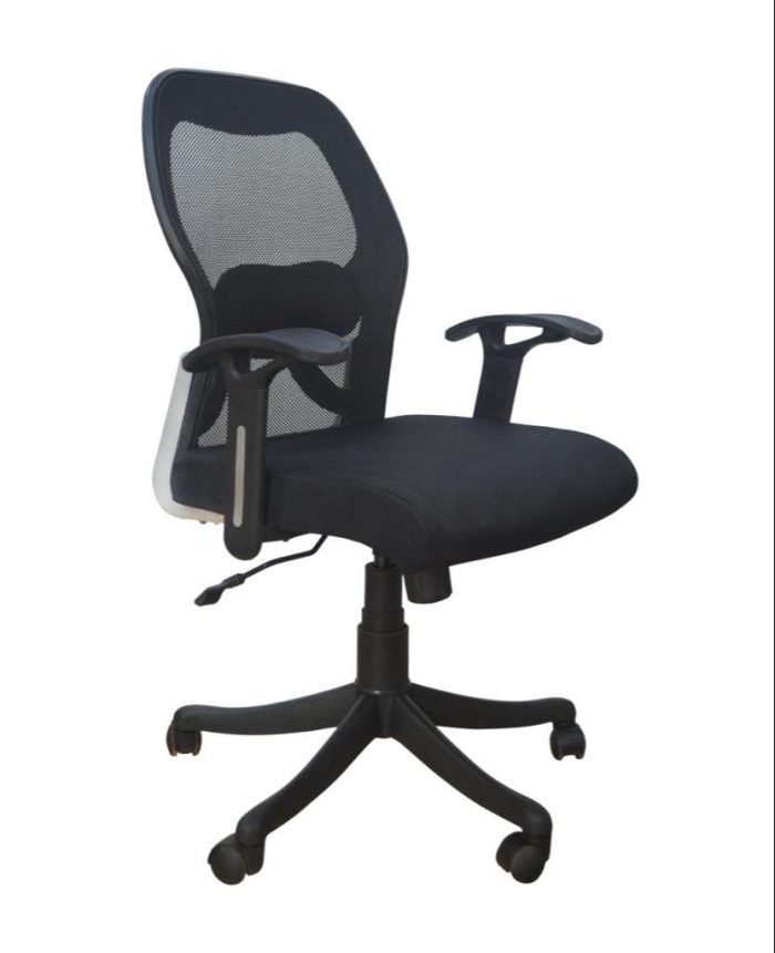 Low Back Chair - Coluxure